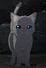 Nakitai Watashi wa Neko o Kaburu - Anime - AniDB