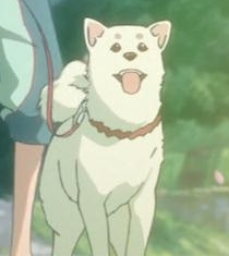 Shiro - Character (57436) - AniDB