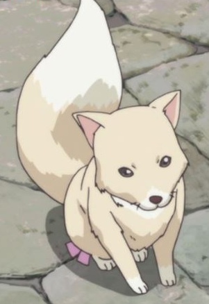 Kon - Character (66322) - AniDB