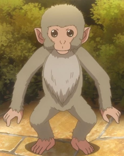 Saru - Character (67411) - AniDB