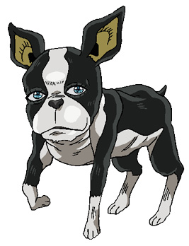 Iggy - Character (1739) - AniDB