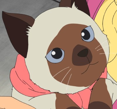 Chiro - Character (73730) - AniDB