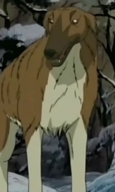 Jet - Character (80077) - AniDB