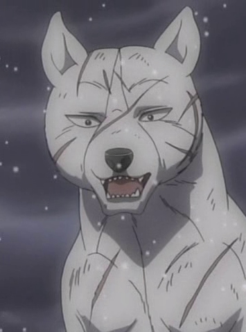 Kyoushirou - Character (80096) - AniDB