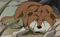 Katsutoshi - Character (80098) - AniDB