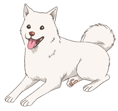 Shiro - Character (89540) - AniDB