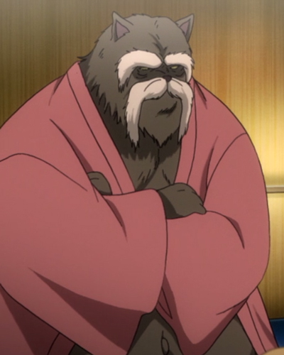 Tanuki Anime