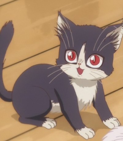 Hachi - Character (98755) - AniDB