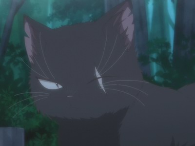 Kuro - Character (99947) - AniDB