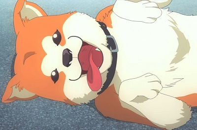 Akita Inu - Character (101804) - AniDB