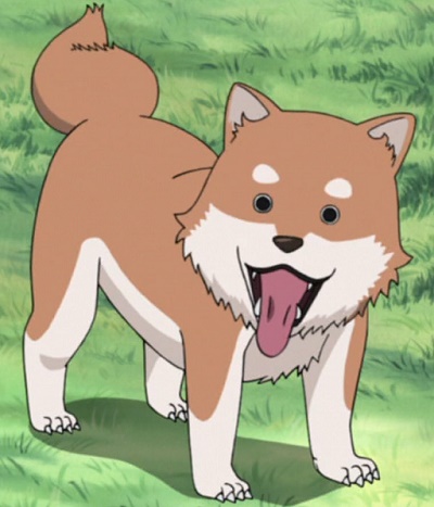 Shiro - Character (103169) - AniDB