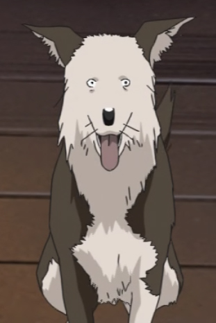 Inu - Character (10958) - AniDB