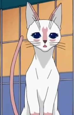 Jacqueline - Character (106571) - AniDB