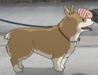 Inu - Character (108424) - AniDB