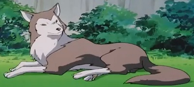 Hikari - Character (109548) - AniDB