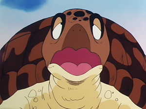 Kame - Character (6879) - AniDB