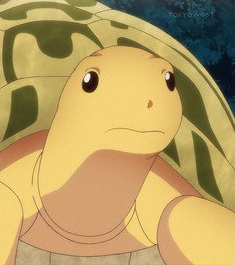 Kamekichi - Character (112729) - AniDB