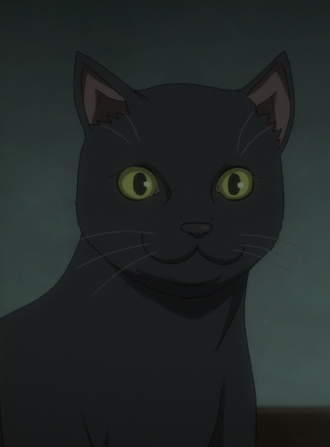 Yoru - Character (113837) - AniDB