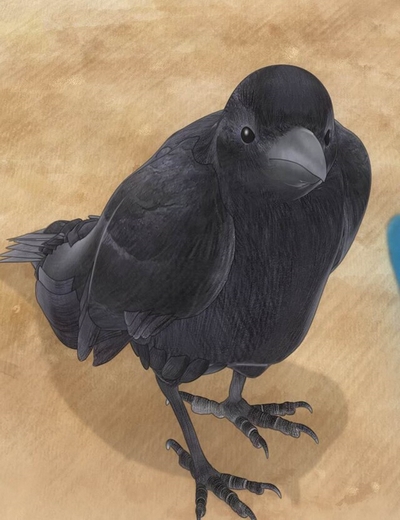 Karasu - Character (117025) - AniDB