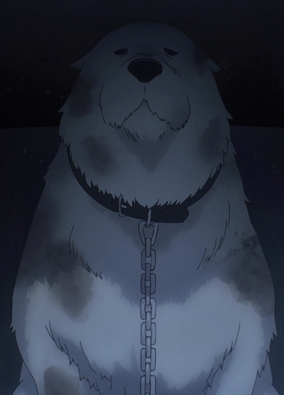 Bond Forger - Character (124630) - AniDB