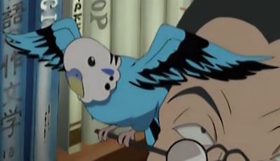 Inko - Character (8457) - AniDB