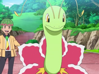 Meganium (Seiya) - Character (129144) - AniDB