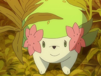 Shaymin - Character (129228) - AniDB