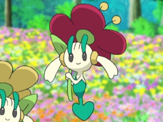 Floette (Gou) - Character (129320) - AniDB