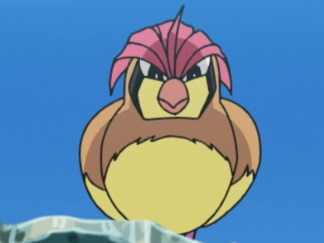 Pigeon (Gou) - Character (129332) - AniDB