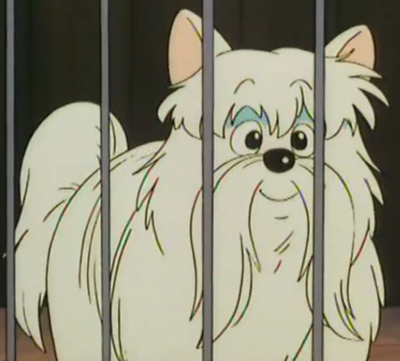 Pero - Character (132693) - AniDB