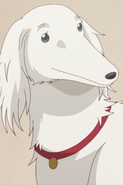 Sayuri - Character (116948) - AniDB