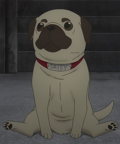 Daisy - Character (136812) - AniDB