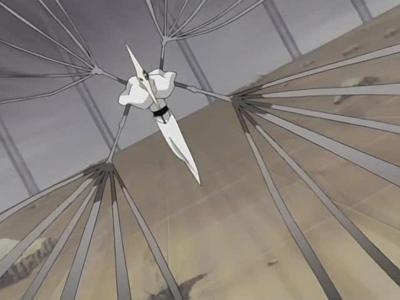 Iceringer - Character (10066) - AniDB