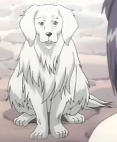 Maria - Character (144228) - AniDB