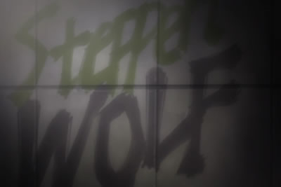 Steppen Wolf - Organisation (10433) - AniDB