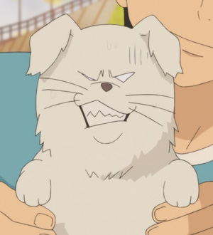 Maru - Character (12405) - AniDB