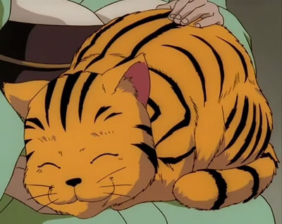 Tora - Character (13179) - AniDB