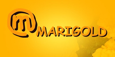 Marigold - Company (10963) - AniDB
