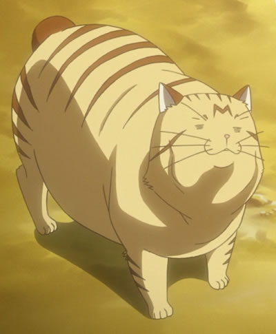 Chatora - Character (13387) - AniDB