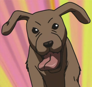 Pero - Character (14163) - AniDB