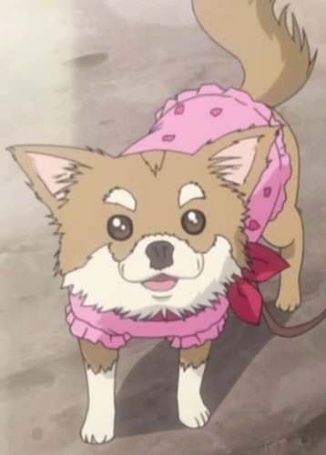 Momo - Character (14170) - AniDB