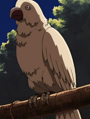 Oumu - Character (14276) - AniDB