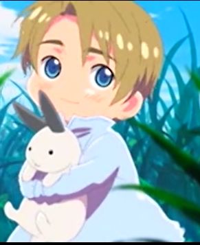 Chibi America - Character (16236) - AniDB