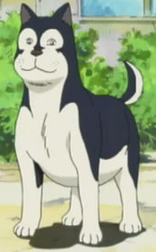 Chiro - Character (18201) - AniDB