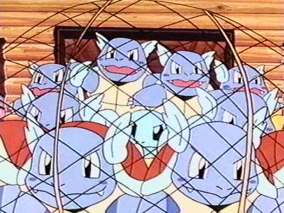 Team Kameil - Organisation (22688) - AniDB