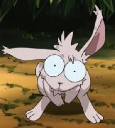 Usagi - Character (26285) - AniDB