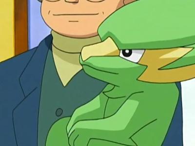 Rakurai (Pokemon Kunren Center no Shochou) - Character (24292) - AniDB