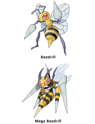 Beedrill Evolution Chart