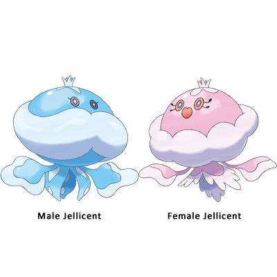 Frillish Evolution Chart