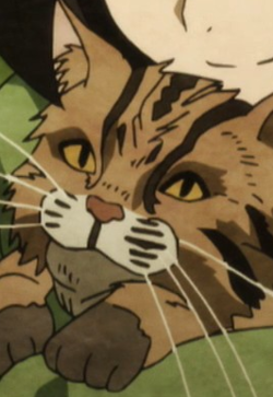 Tsushima Yamaneko - Character (110688) - AniDB